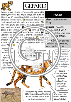 Materiál - SAVANY A POUŠTĚ