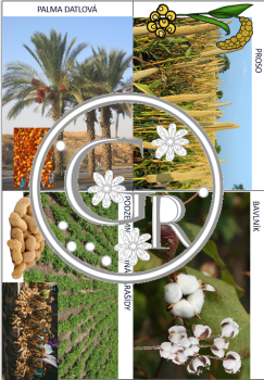 SAVANY A POUŠTĚ | Učitelnice