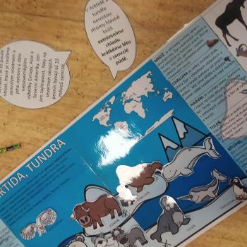 ANTARKTIDA, ARKTIDA A TUNDRA | Učitelnice