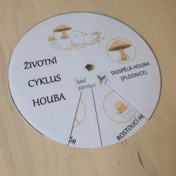 HOUBY - výukové kolečko, životní cyklus, popis částí | Učitelnice