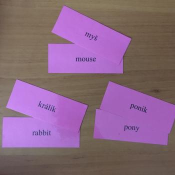 Anglická slova I. | Učitelnice